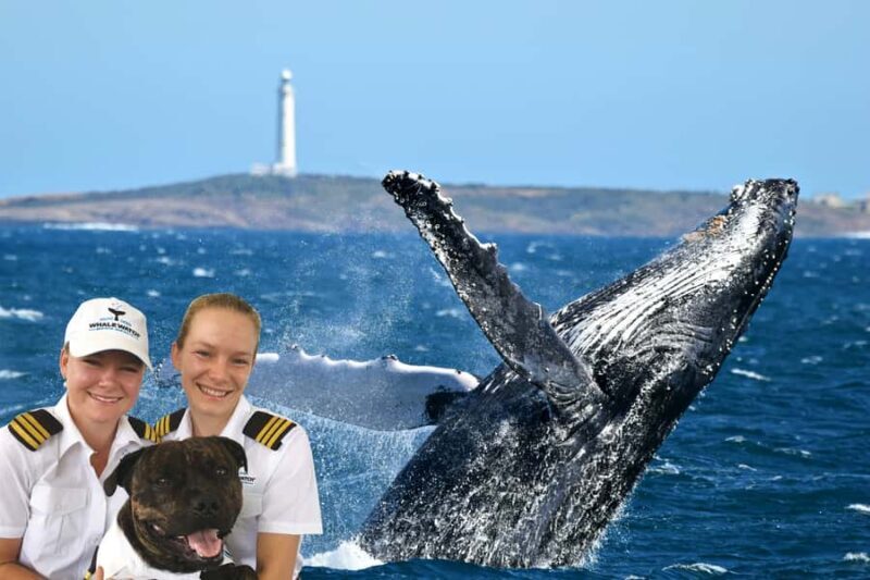 From Augusta: Whale Watching Award Winning Tour - Setting the Scene: Augusta’s Coastal Charm and Prime Whale Watching Grounds