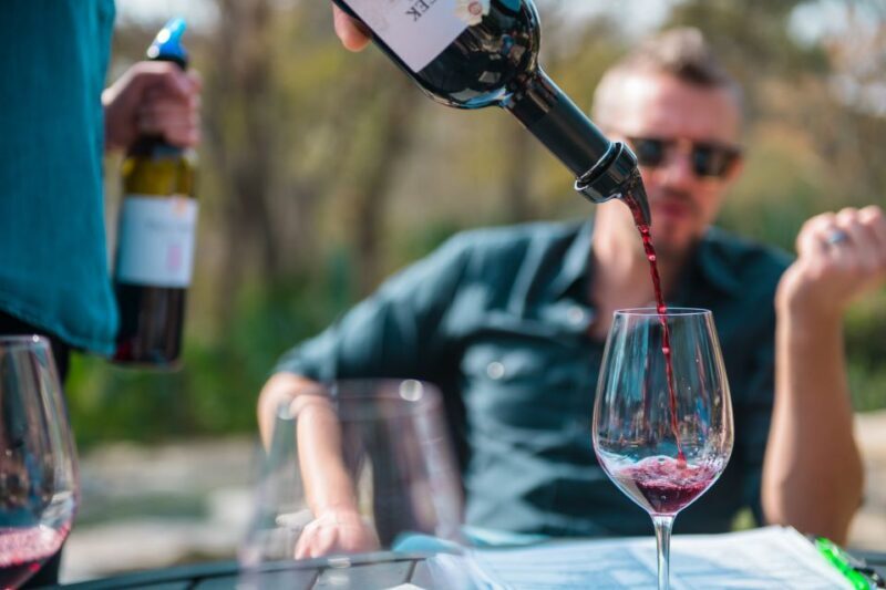 From Austin: Half-Day Hill Country Wine Shuttle - Discovering the Half-Day Hill Country Wine Shuttle from Austin