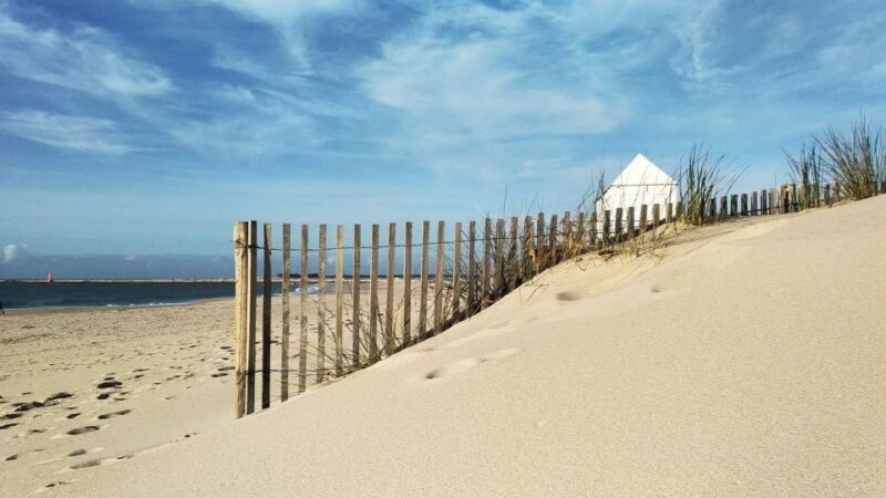 From Aveiro: Barra Beach Lighthouse & Costa Nova Guided Tour - Introduction