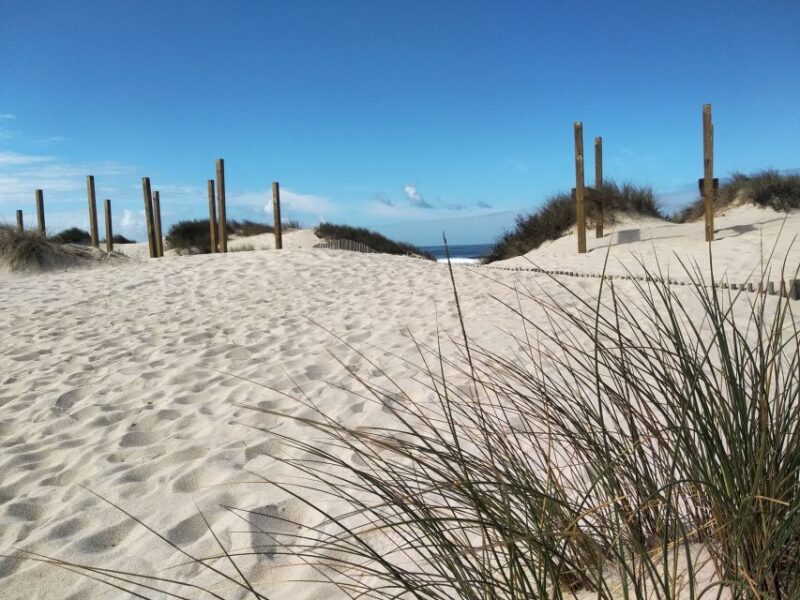 From Aveiro: Barra Beach Lighthouse & Costa Nova Guided Tour - Final Thoughts