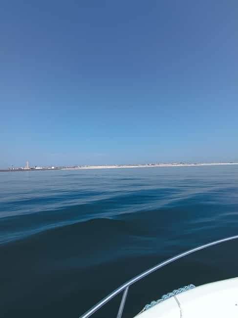 From Aveiro to the Beaches by Boat - Summing It Up: Who Will Love This Tour?