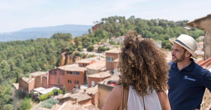 From Avignon: All Provence in one Day - What the Reviews Say