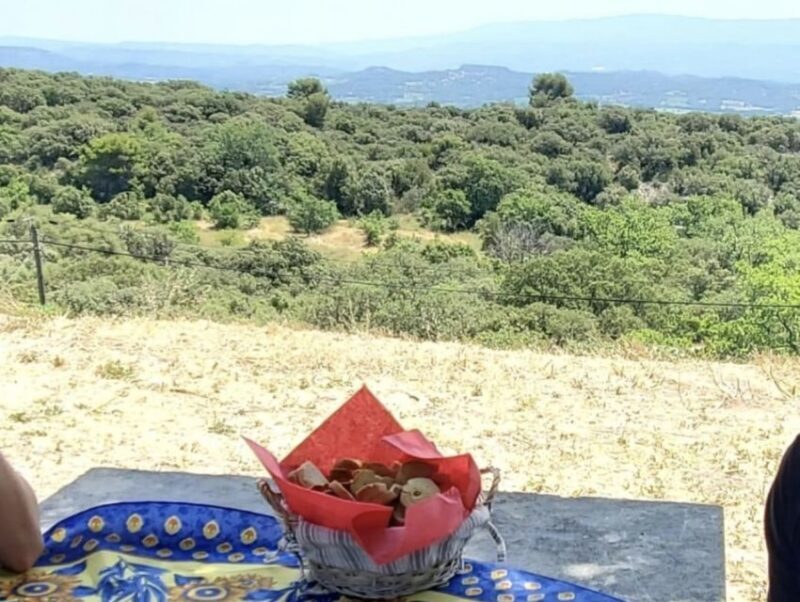 From Avignon: Arles, Les Baux-de-Provence & Saint-Rémy Tour - An Overview of the Tour Experience