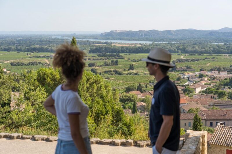 From Avignon: Châteauneuf du Pape Half-Day Wine Tour - Key Points
