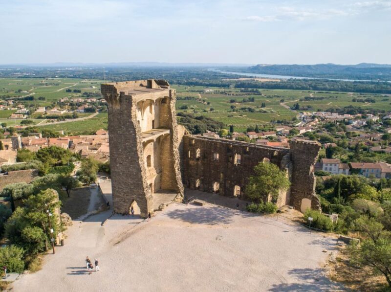 From Avignon: Châteauneuf du Pape Half-Day Wine Tour - The Driving and Timing