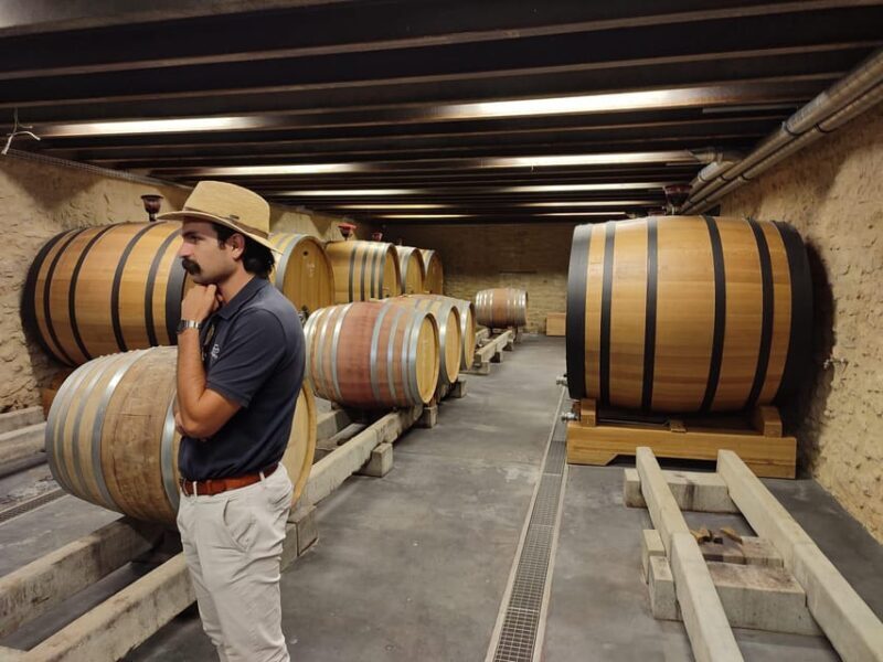 From Avignon: Châteauneuf du Pape Half-Day Wine Tour - Authentic Experiences and Feedback from Travelers