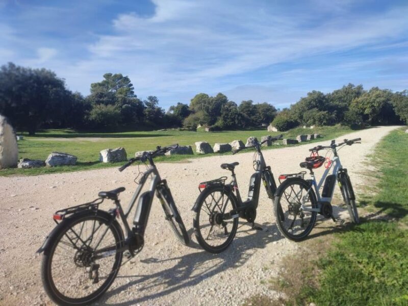 From Avignon: Full-Day E-Bike Tour in the Luberon Region - Value and Practical Considerations
