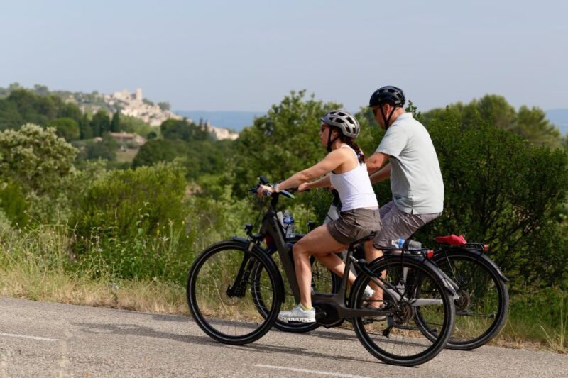 From Avignon: Full-Day E-Bike Tour in the Luberon Region - Who Will Love This Tour