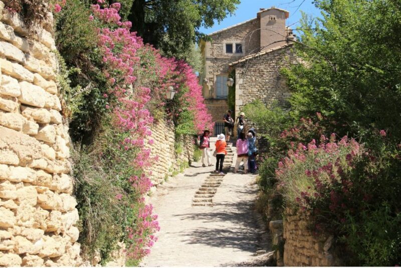 From Avignon: Half-Day Baux de Provence and Luberon Tour - An Authentic Glimpse of Provence in Half a Day
