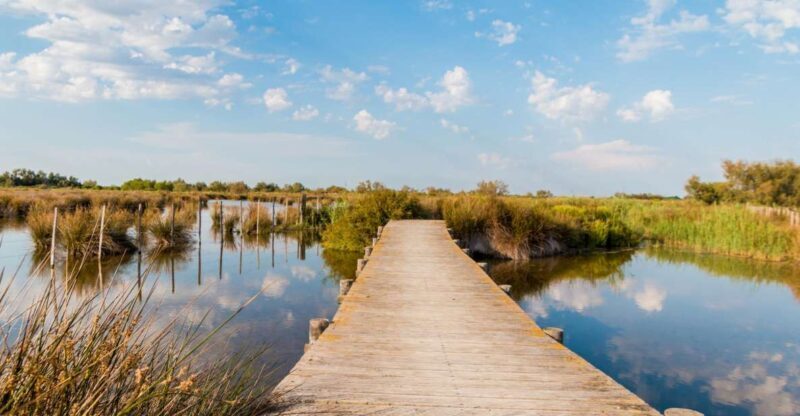From Avignon: Half-Day Camargue and Saintes-Maries-de-la-Mer - Who Will Love This Tour?