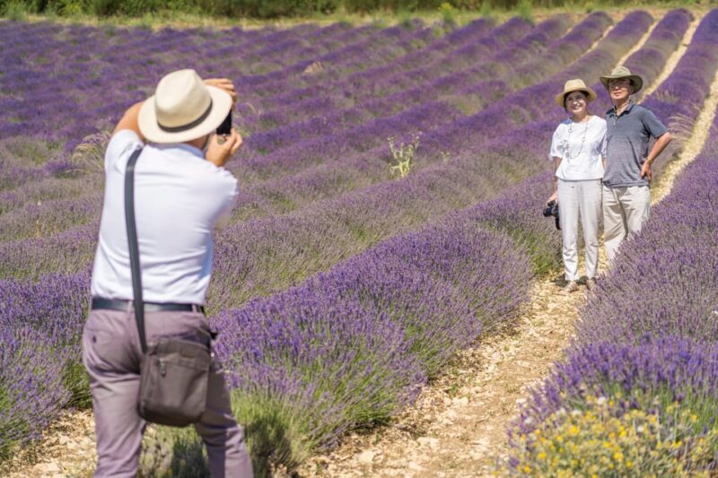 From Avignon: Half Day Lavender Tour to Sault - Who Should Consider This Tour?