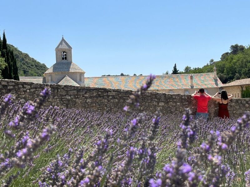 From Avignon: Lavender Tour around Valensole or Sault - Transition to Sault or Continue in Valensole
