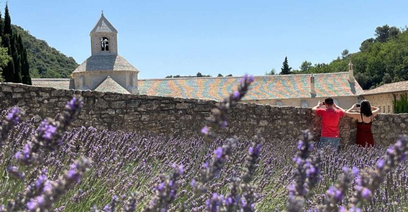 From Avignon: Lavender Tour around Valensole or Sault - The Value of the Tour