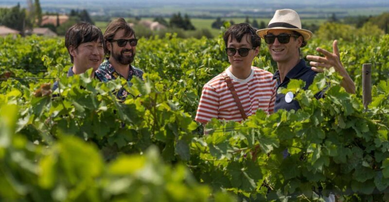 From Avignon: Luberon and Chateauneuf-du-Pape Full-Day Tour - A Closer Look at the Itinerary