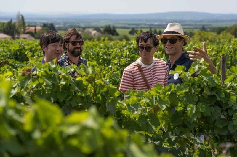 From Avignon: Luberon and Chateauneuf-du-Pape Full-Day Tour - Transportation and Group Dynamics