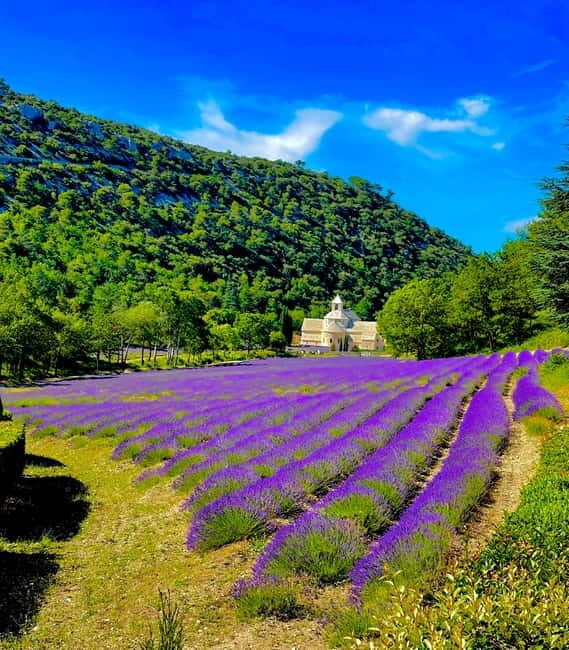 From Avignon: Provence Highlights Full-Day Tour - The Vibrant Roussillon