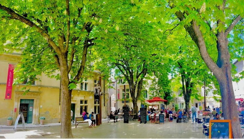 From Avignon: Provence Highlights Full-Day Tour - Villages & Van Gogh in Saint-Rémy de Provence