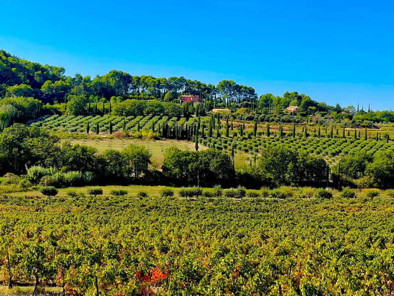 From Avignon: Provence Highlights Full-Day Tour - History Comes Alive at Les Baux de Provence