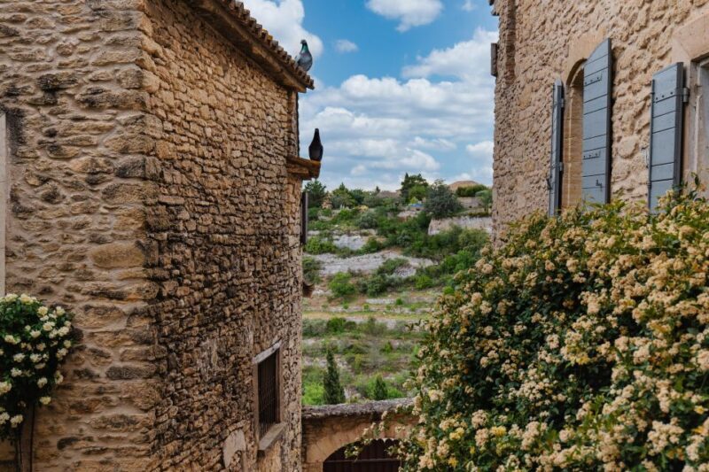 From Avignon: Villages in Luberon Half-Day Tour - Practicalities and What to Expect