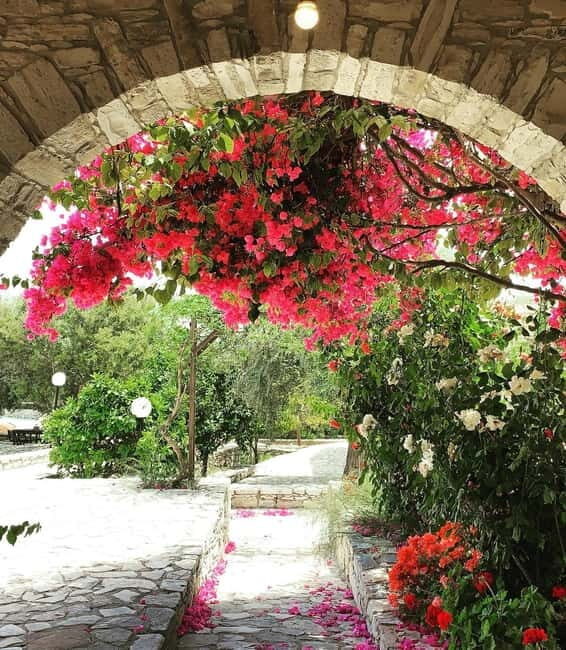From Aya Napa/Protaras/Larnaca: Cyprus Charms in Romanian - Who Will Love This Tour?