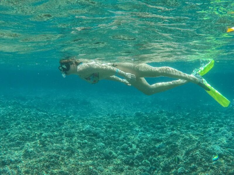 From Bali: 2-Day Nusa Penida and Lembongan Complete Tour - The Return Journey & Overall Logistics