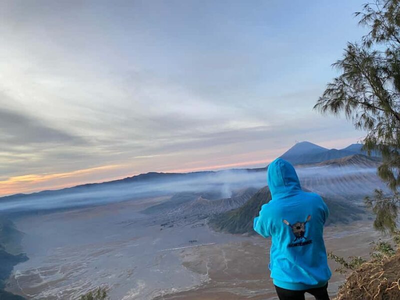 From Bali: A Private Tour Kawah Ijen Mt Bromo Tumpaksewu - An In-Depth Look at the Tour Experience