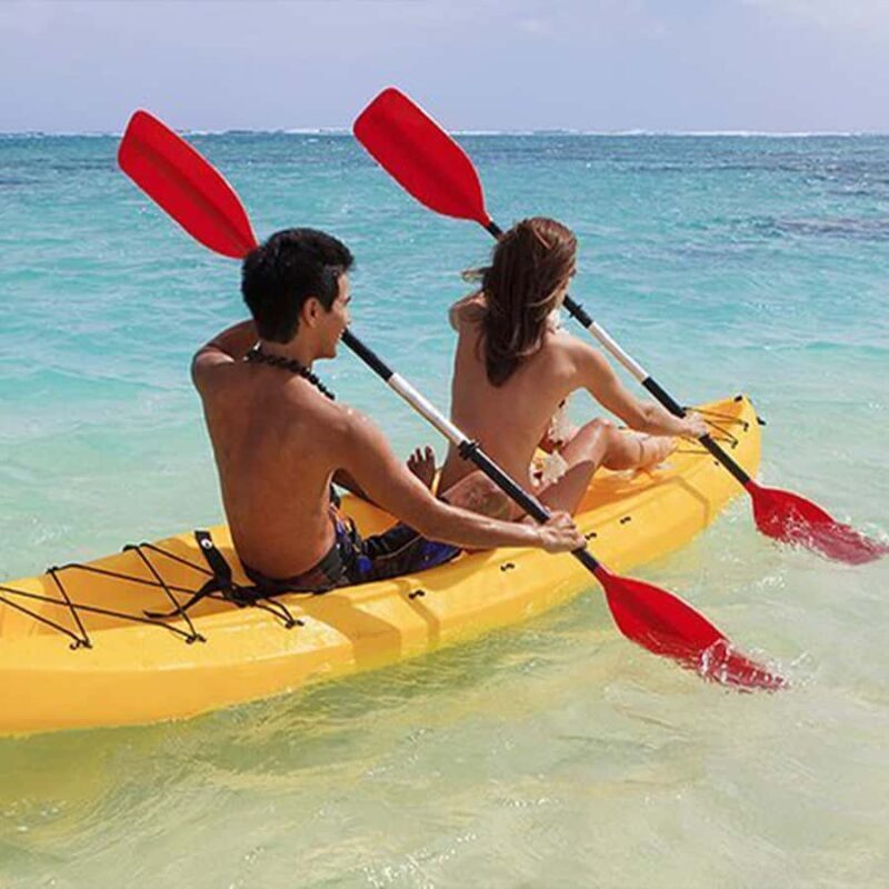 From Bali: Day Tour West & Kayaking Nusa Penida - The Sum Up: Who Will Love This Tour?