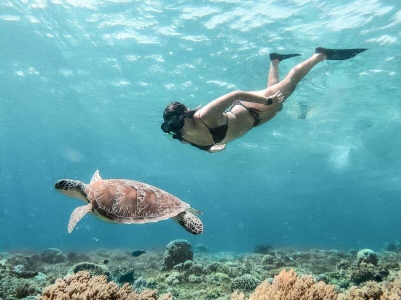 From Bali: Gili Islands Private Snorkeling Day Trip - Key Points