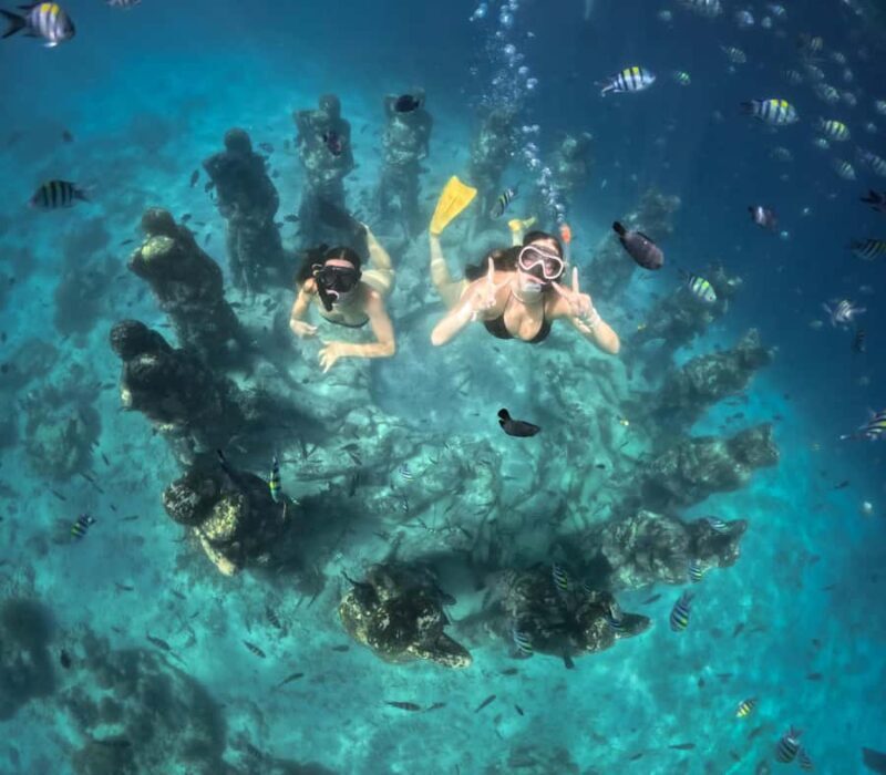 From Bali: Gili Islands Private Snorkeling Day Trip - The Value of This Experience