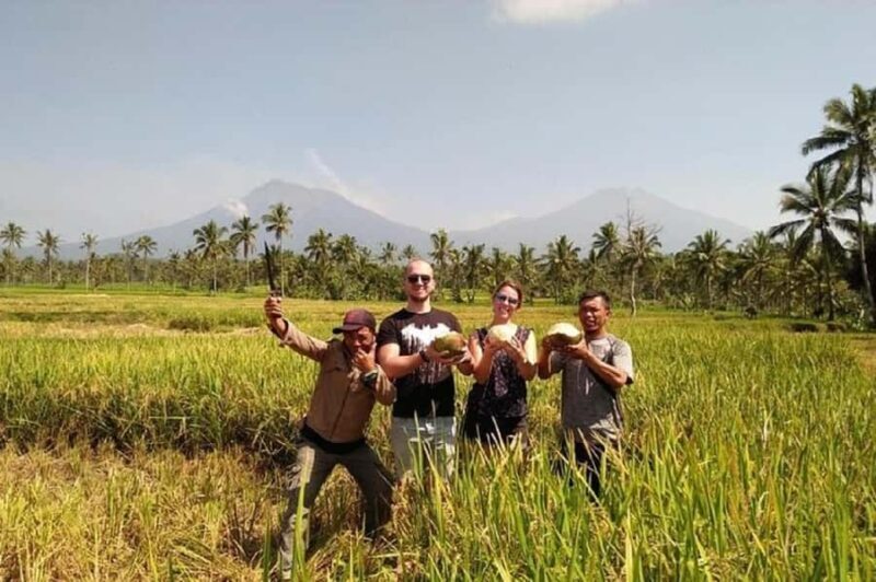 From Bali : Kawah Ijen Mt.Bromo With Local Experiences - Introduction: A Unique Overland Journey from Bali to Javas Volcanoes