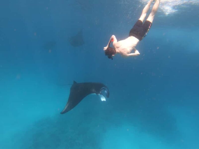 From Bali: Lembongan & Penida 2-Day Tour with Snorkeling - Introduction