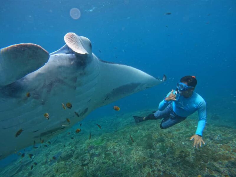 From Bali: Manta Rays Snorkeling with Lembongan Land Tour - Key Points