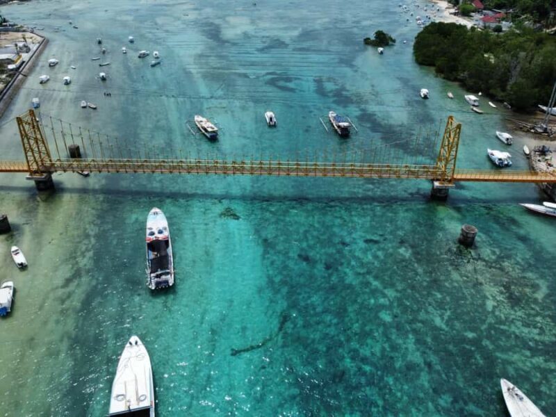 From Bali: Manta Rays Snorkeling with Lembongan Land Tour - Who Will Love This Tour?