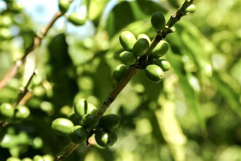 From Bali: Mount Batur Sunrise Hike & Hot Spring Visit - Duration and Value