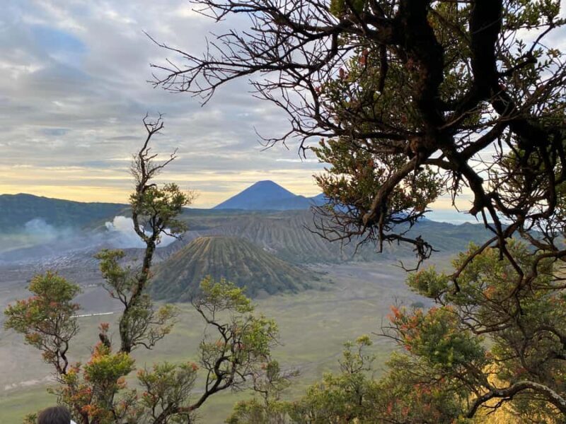 From Bali: Mount Bromo & Ijen volcanic private tour - The Journey Begins in Bali