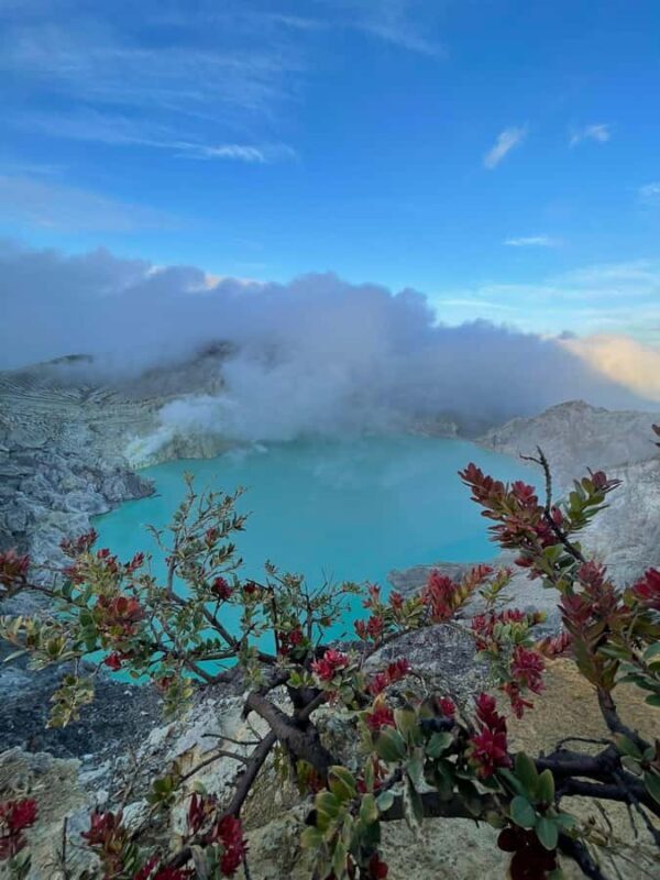 From Bali : Mount Ijen Blue-fire Volcano Tour - Introduction