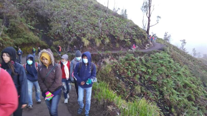 From Bali: Mount Ijen Tour Blue Fire Tour 2D1N, Hotel - Key Points