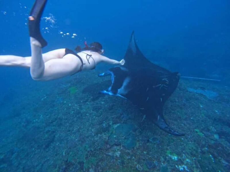 From Bali: Nusa Penida 3 Spots Snorkeling Tour & West Island - Analyzing the Value