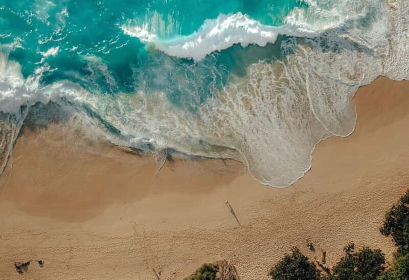 From Bali: Nusa Penida Day Trip - Beaches & Tree House - Exploring the Tree House and Coastal Cliffs