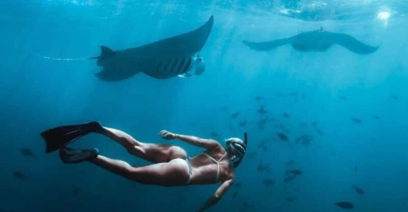 From Bali: Nusa Penida Full Day Private Snorkeling Tour - Who Should Consider This Tour?