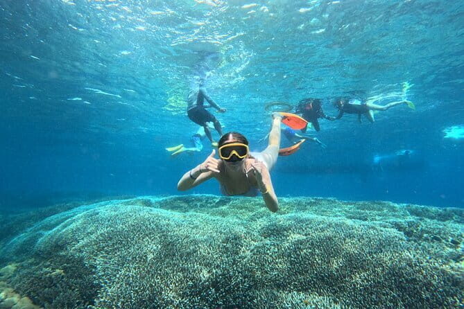 From Bali: Nusa Penida Full Day Tour and Snorkeling - Starting Your Day: The Transport & Early Morning Kickoff