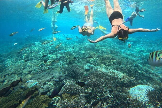 From Bali: Nusa Penida Full Day Tour and Snorkeling - Kelingking Beach: The Iconic Cliff Formation