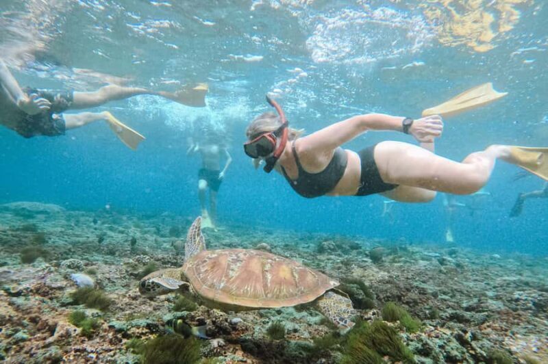 From Bali: Nusa Penida Manta Snorkeling Cruise & Island Tour - FAQs