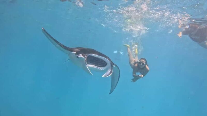 From Bali: Nusa Penida Private Snorkeling and Land Tour - Key Points