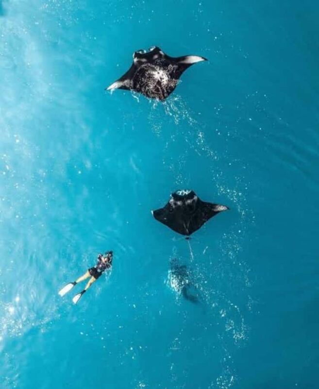 From Bali: Nusa Penida Private Snorkeling and Land Tour - Land Exploration: Iconic Cliffs and Beaches