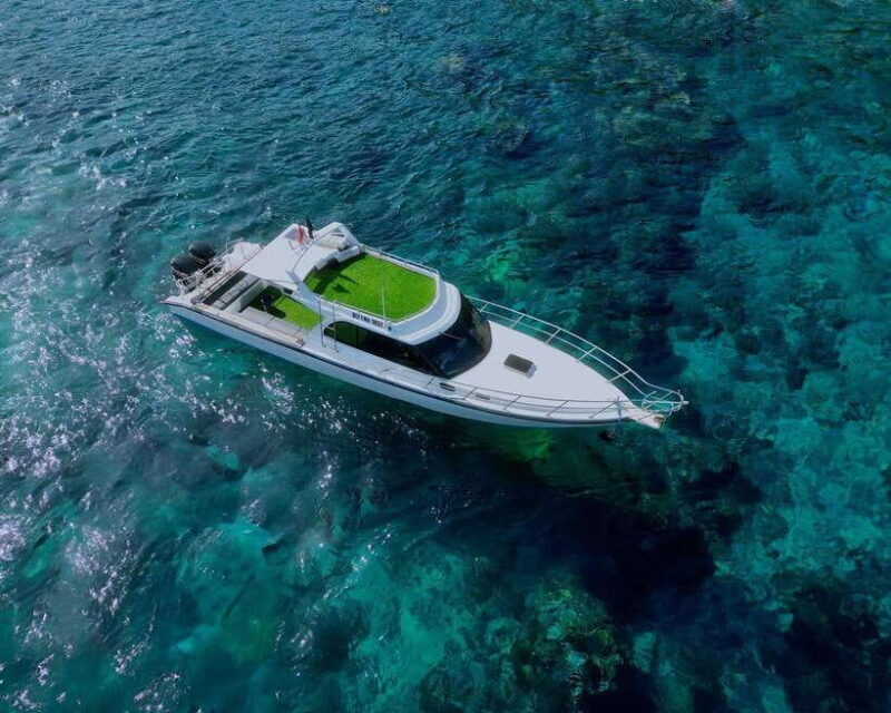 From Bali: Nusa Penida Private Snorkeling Tour with Lunch - Key Points