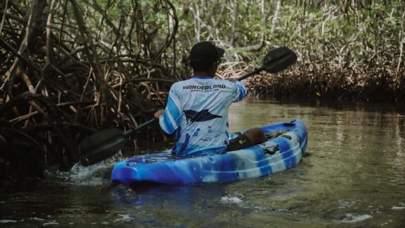From Bali: Nusa Penida Snorkel 3 Spots w/ GoPro & Kayak tour - A Practical and Balanced Review of the Tour