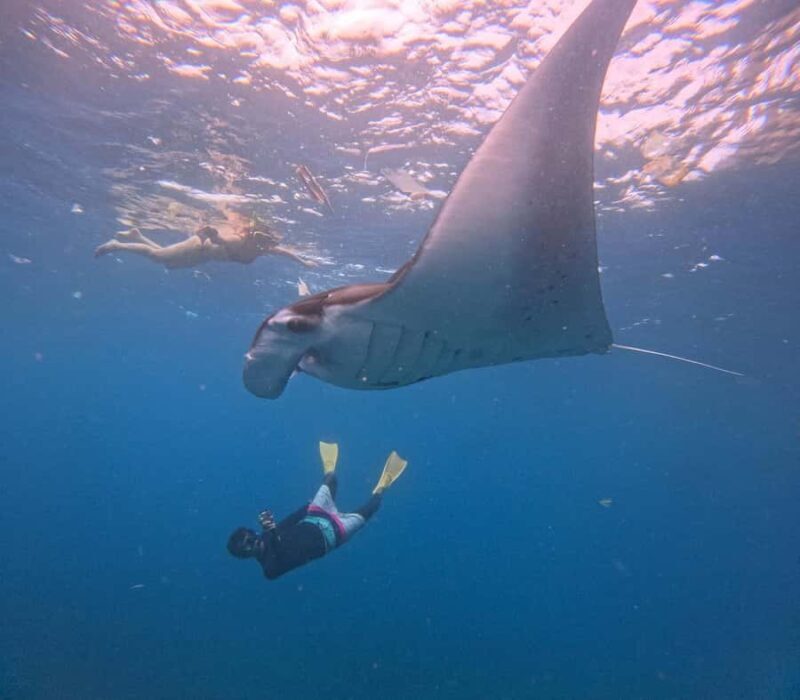 From Bali: Nusa Penida Snorkel 3 Spots w/ GoPro & Kayak tour - Frequently Asked Questions