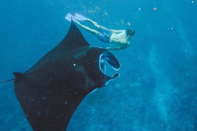 From Bali: Nusa Penida Snorkeling and Island Tour - Key Points