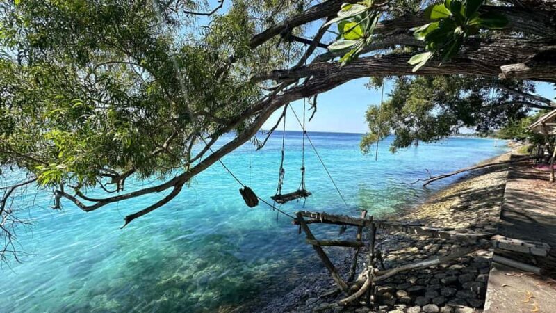 From Bali: Nusa Penida VIP Speedboat & Beach Club Day Trip - Who Will Love This Tour?